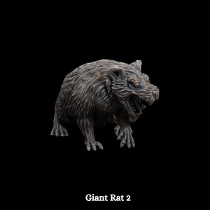 Giant Rats - Set of 8 Figures - 28mm/32mm Scale Unpainted Resin ...