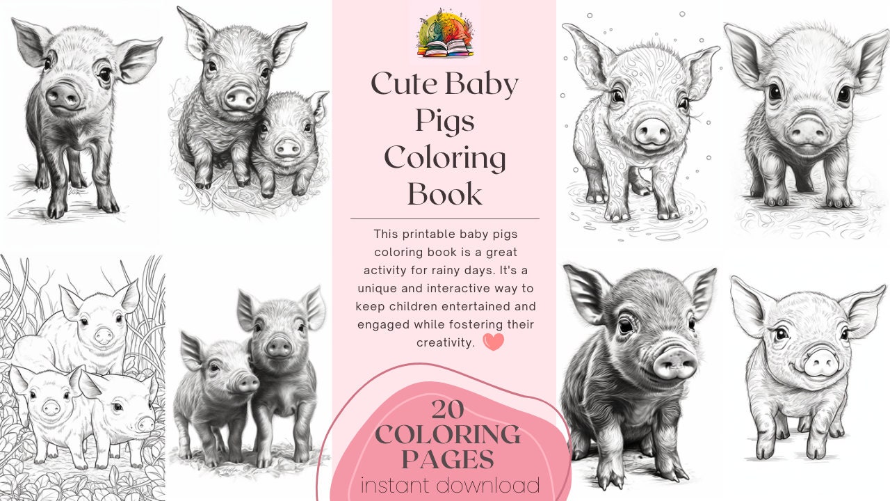 Cute Baby Pigs