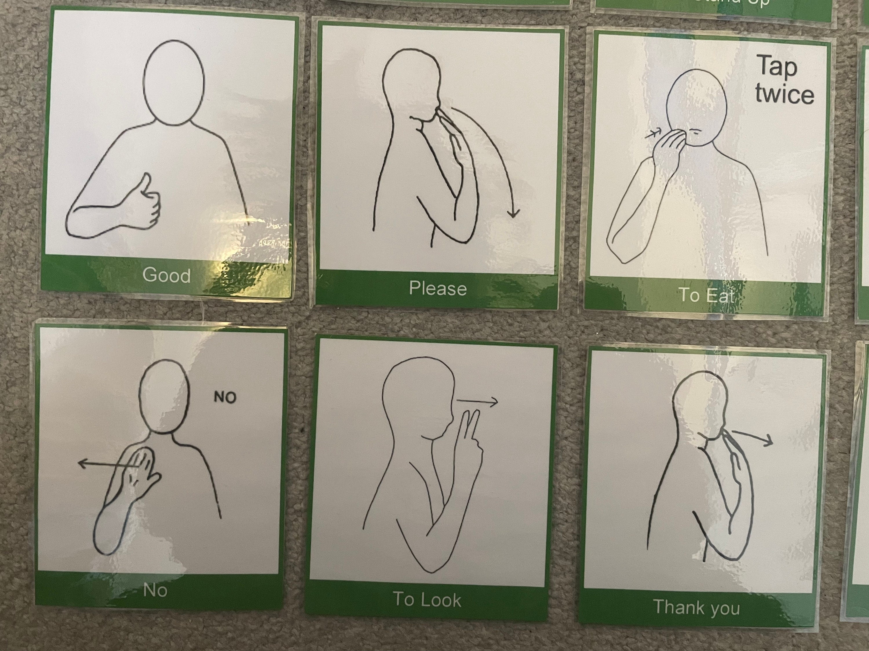 EYFS Makaton Signs Flashcards SEN Staff Support Fully - Etsy Australia