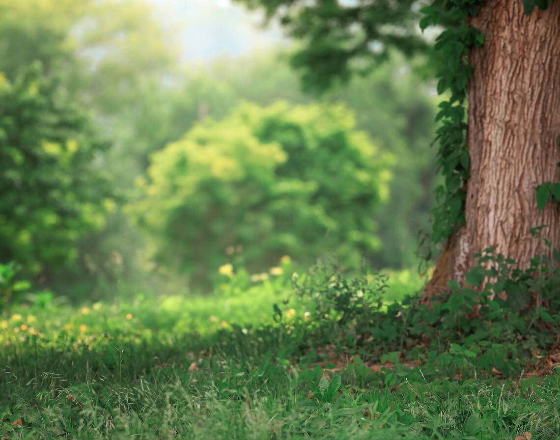 Digital Backdrop Spring - Etsy