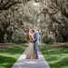 Live Oak Alley Digital Backdrop - Etsy