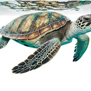 Beige and Blue Sea Turtle Wall Art on White Background | Printable ...