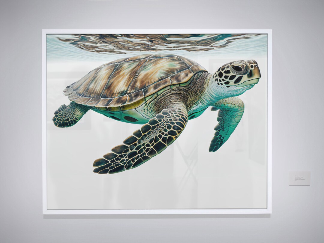 Blue Sea Turtle Wall Art on White Background Printable Ocean Art Beach ...