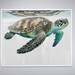 Blue Sea Turtle Wall Art on White Background Printable Ocean Art Beach ...