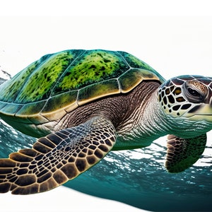Green and Blue Sea Turtle Wall Art on White Background Printable Ocean ...