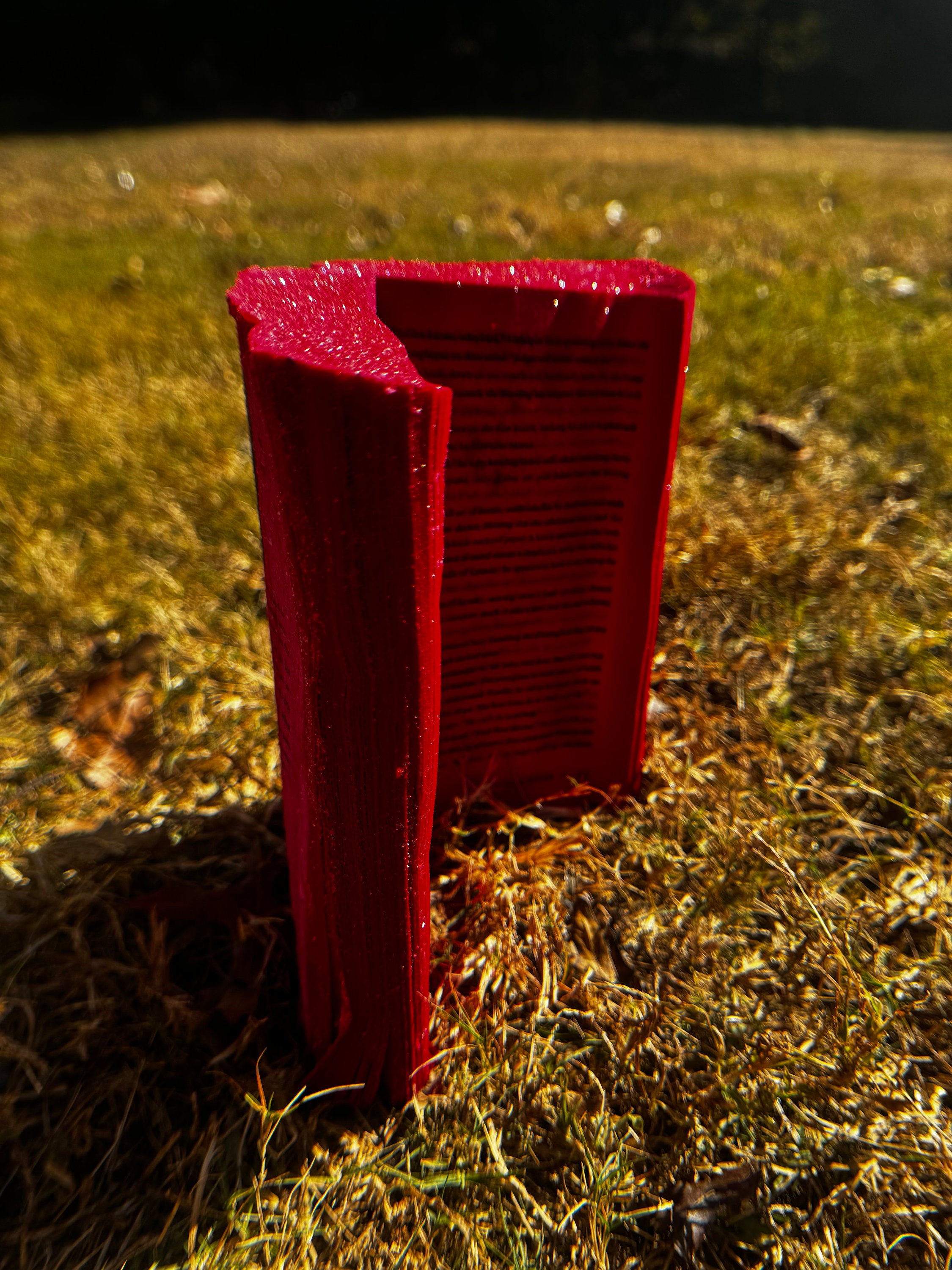 Crystallized Book - Glitter Styling - Etsy