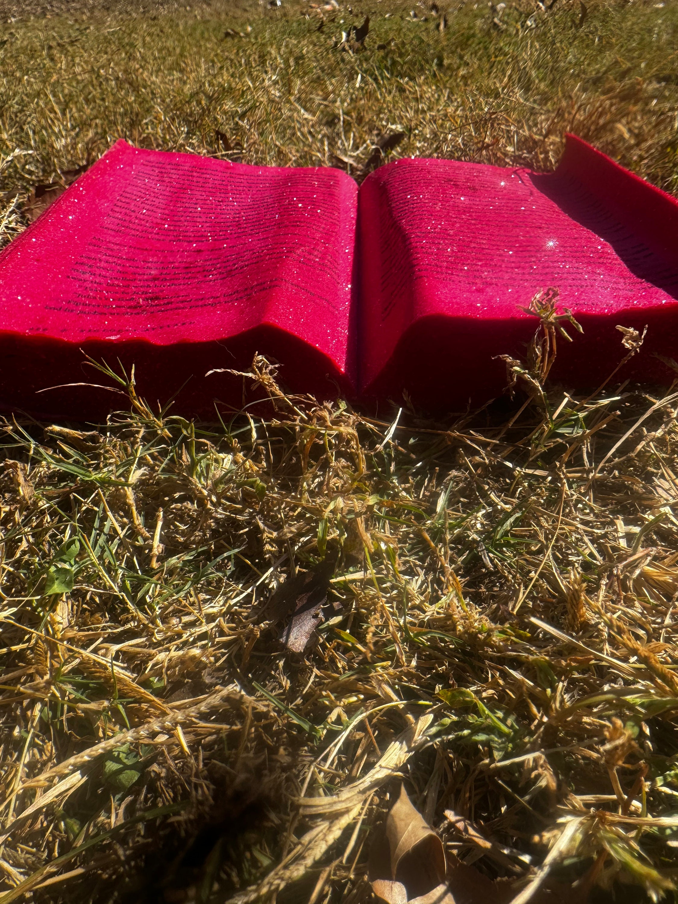 Crystallized Book - Glitter Styling - Etsy