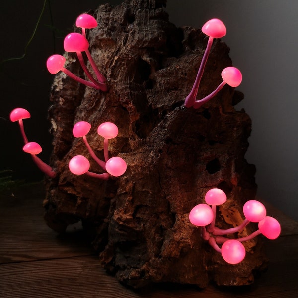 Glowing Mushroom Lights - Etsy