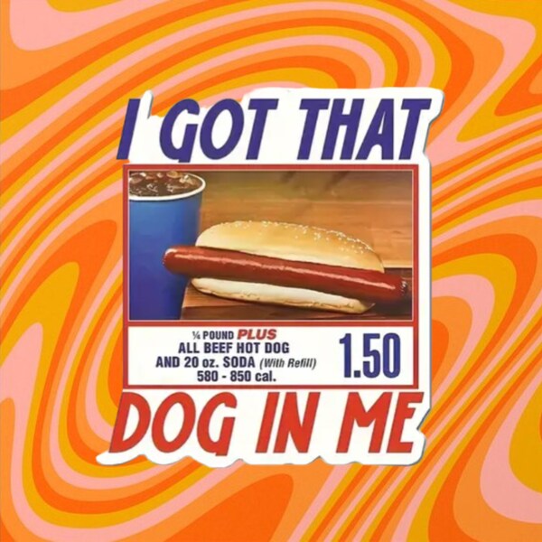 I Got That Costco Dog in Me - Etsy