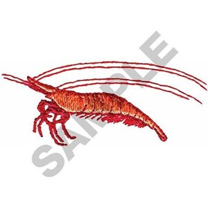 Shrimp - Machine Embroidery Design - Etsy