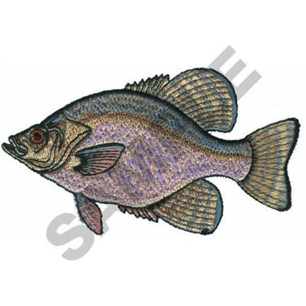 Crappie Embroidery Design - Etsy