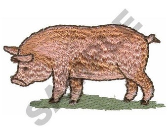 Pig Machine Embroidery Design - Etsy