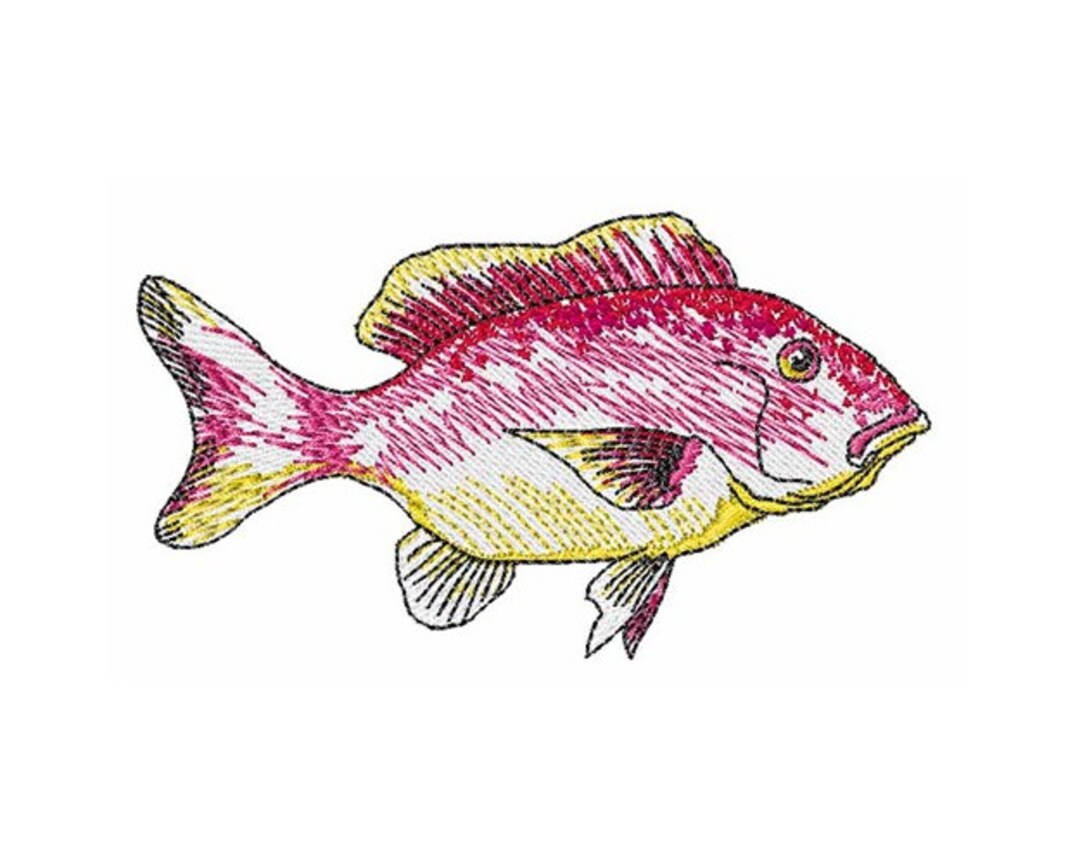 Red Snapper Fish Machine Embroidery Design - Etsy