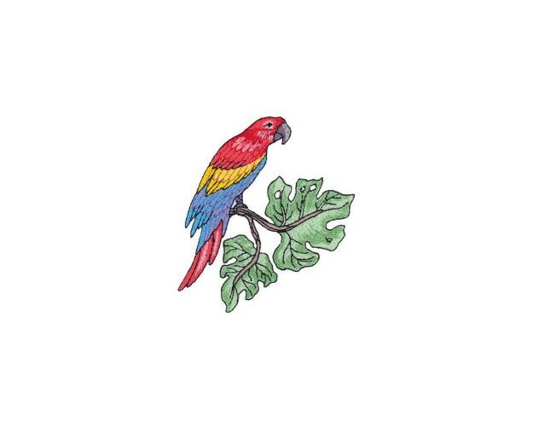Parrot - Machine Embroidery Design - Etsy