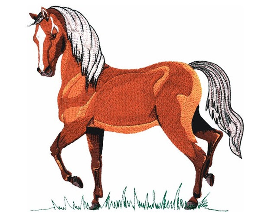 Large Quarter Horse - Machine Embroidery Design - Etsy