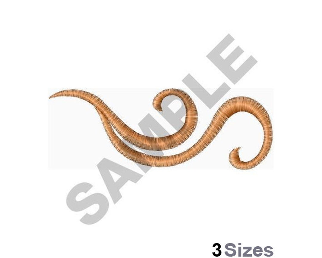 Scroll - Machine Embroidery Design - 3 Sizes - Etsy