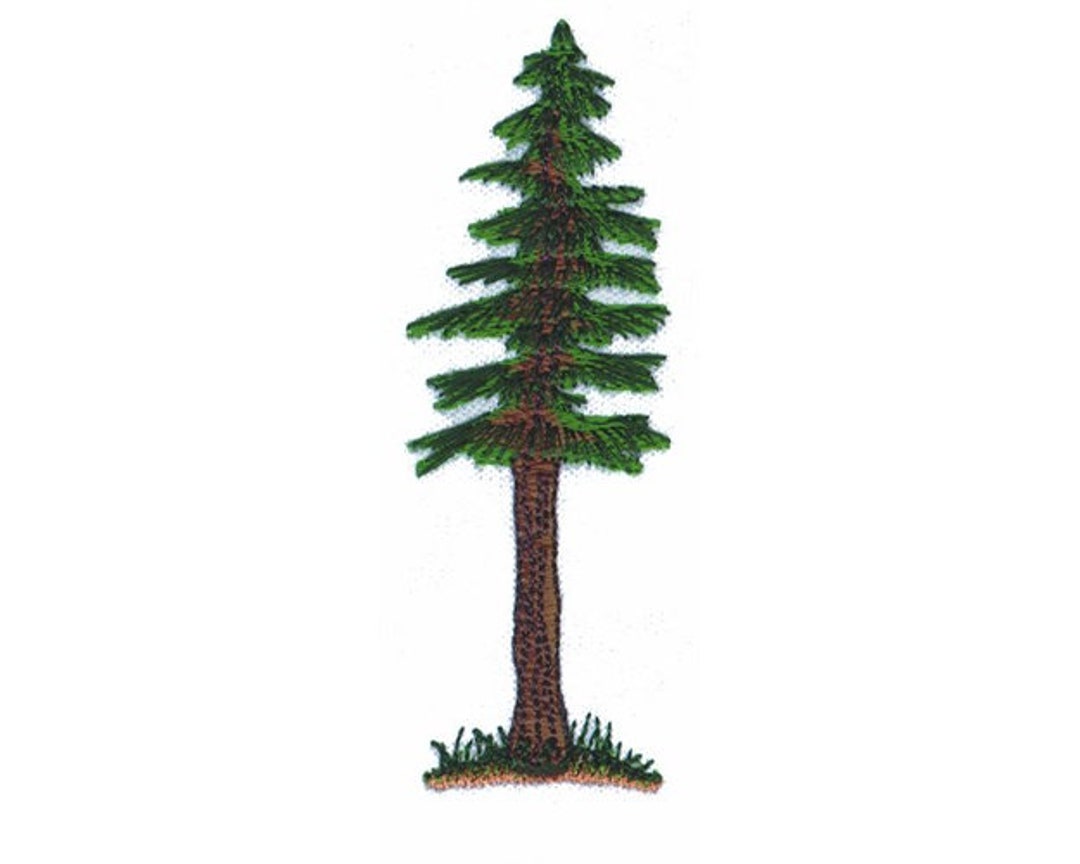 Pine Tree - Machine Embroidery Design - Etsy