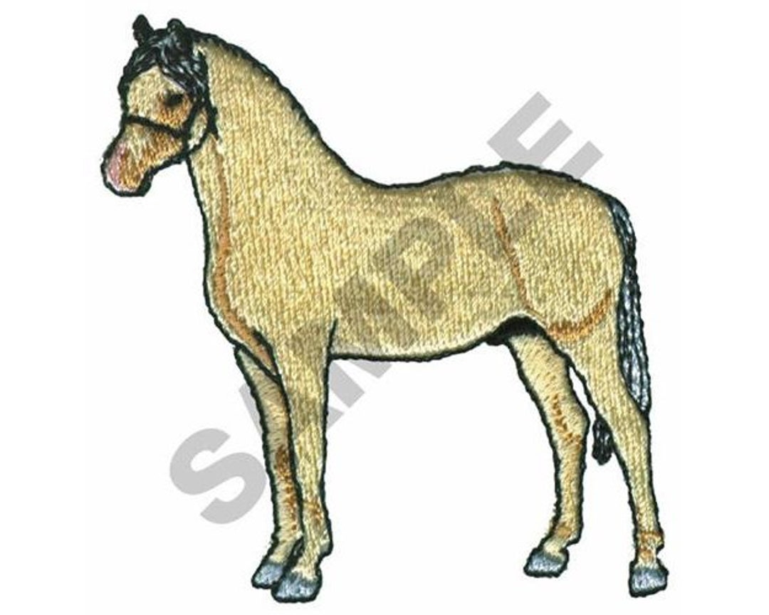 Welsh Pony - Machine Embroidery Design - Etsy