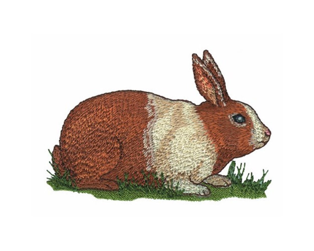 Bunny Machine Embroidery Design - Etsy
