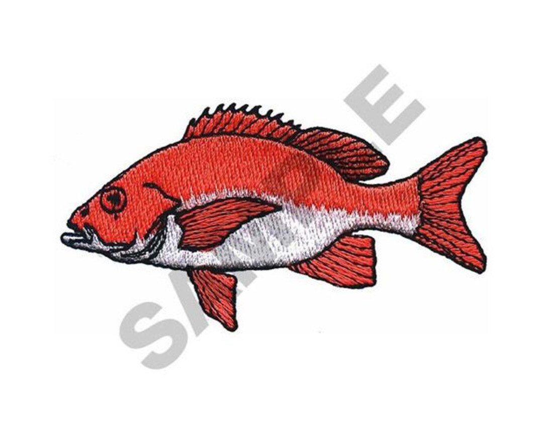 RED SNAPPER - Machine Embroidery Design - Etsy