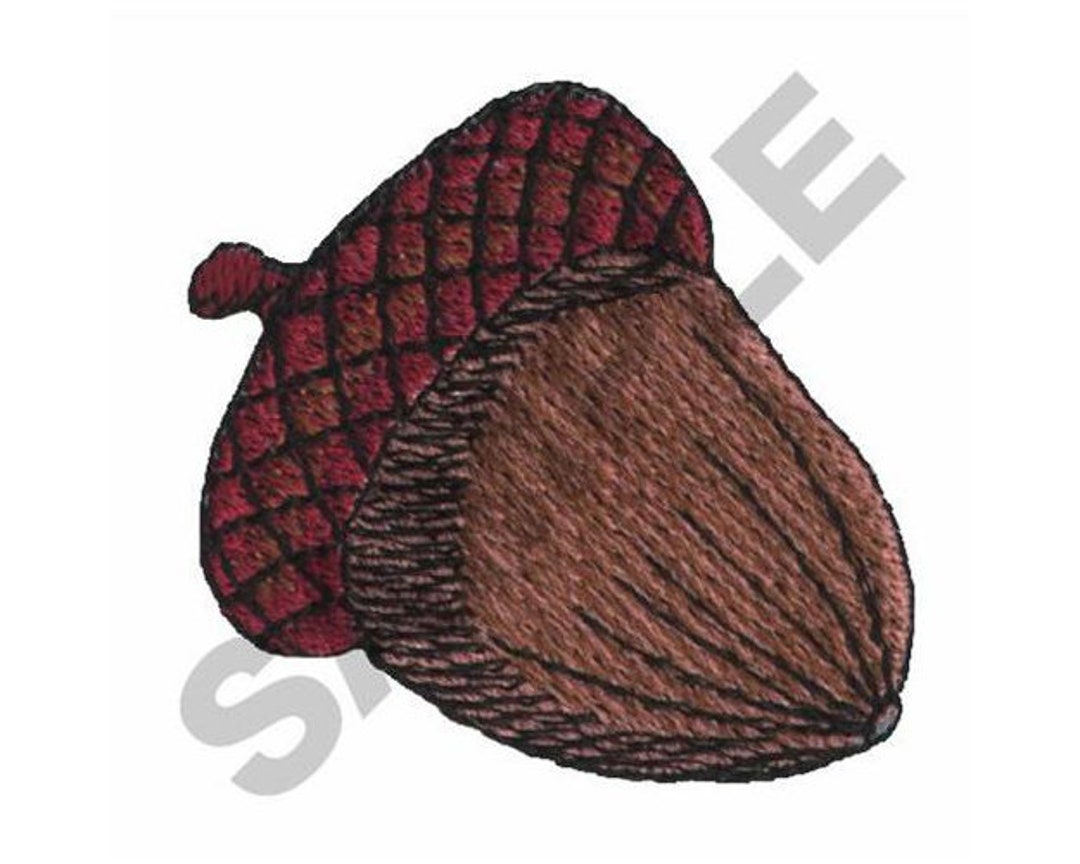 Acorn Machine Embroidery Design - Etsy