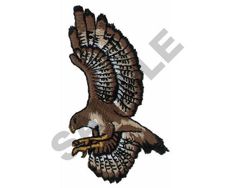 Hawk - Machine Embroidery Design - Etsy