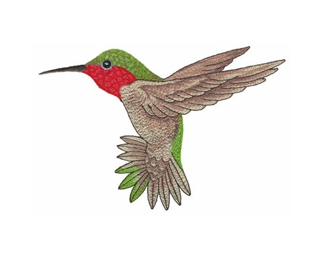 Hummingbird - Machine Embroidery Design - Etsy
