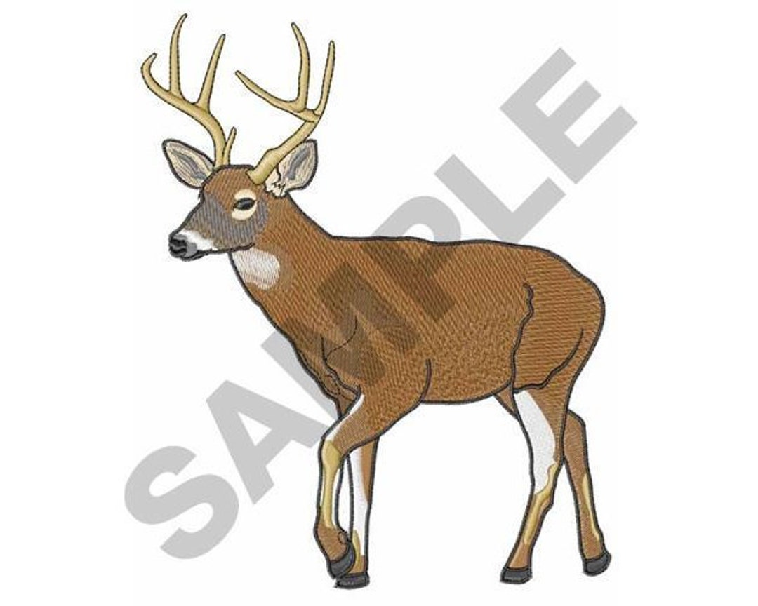 Whitetail Deer - Machine Embroidery Design - Etsy