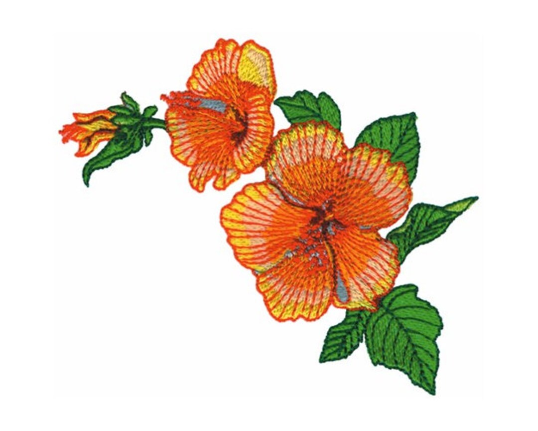 Hibiscus - Machine Embroidery Design - Etsy UK
