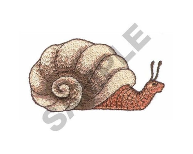 Snail Machine Embroidery Design - Etsy