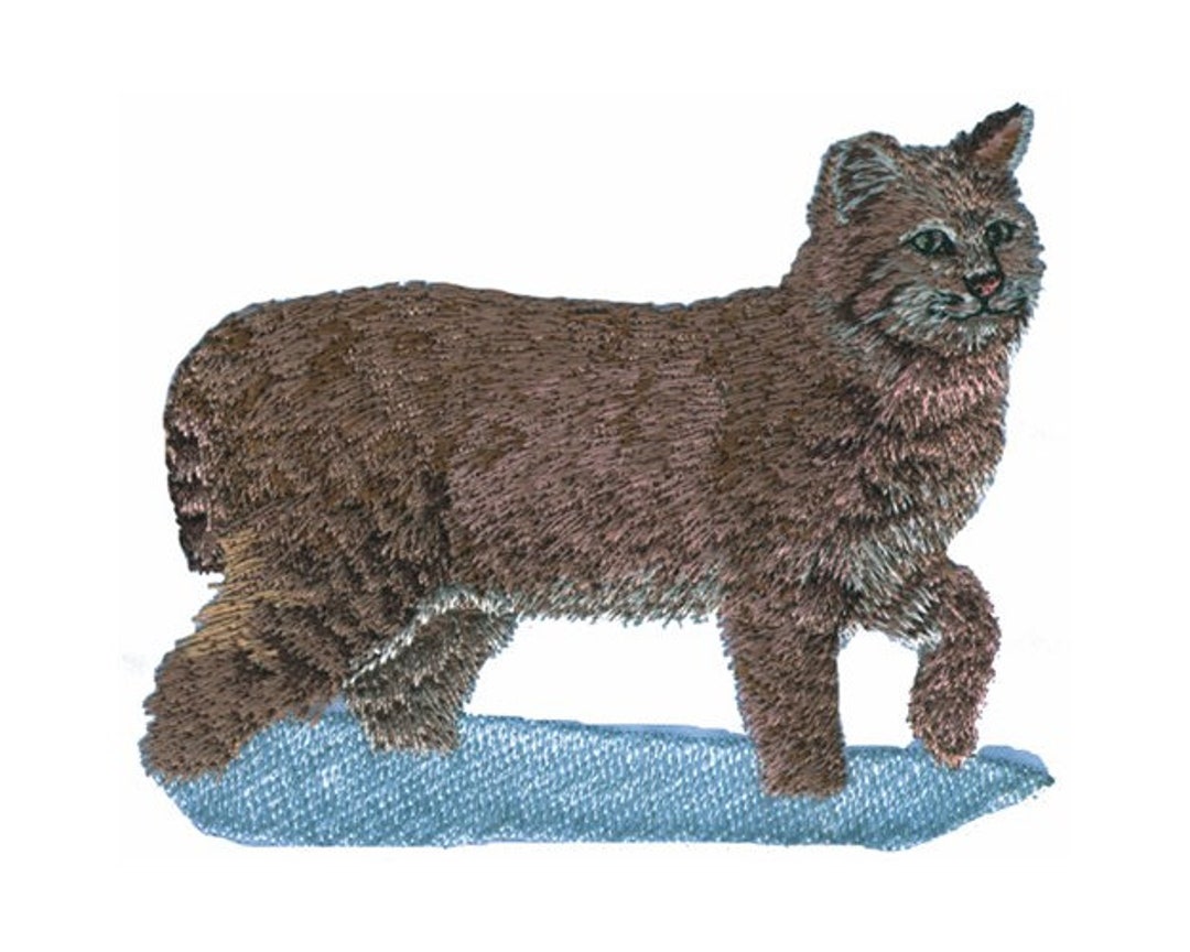 Bobcat Machine Embroidery Design - Etsy