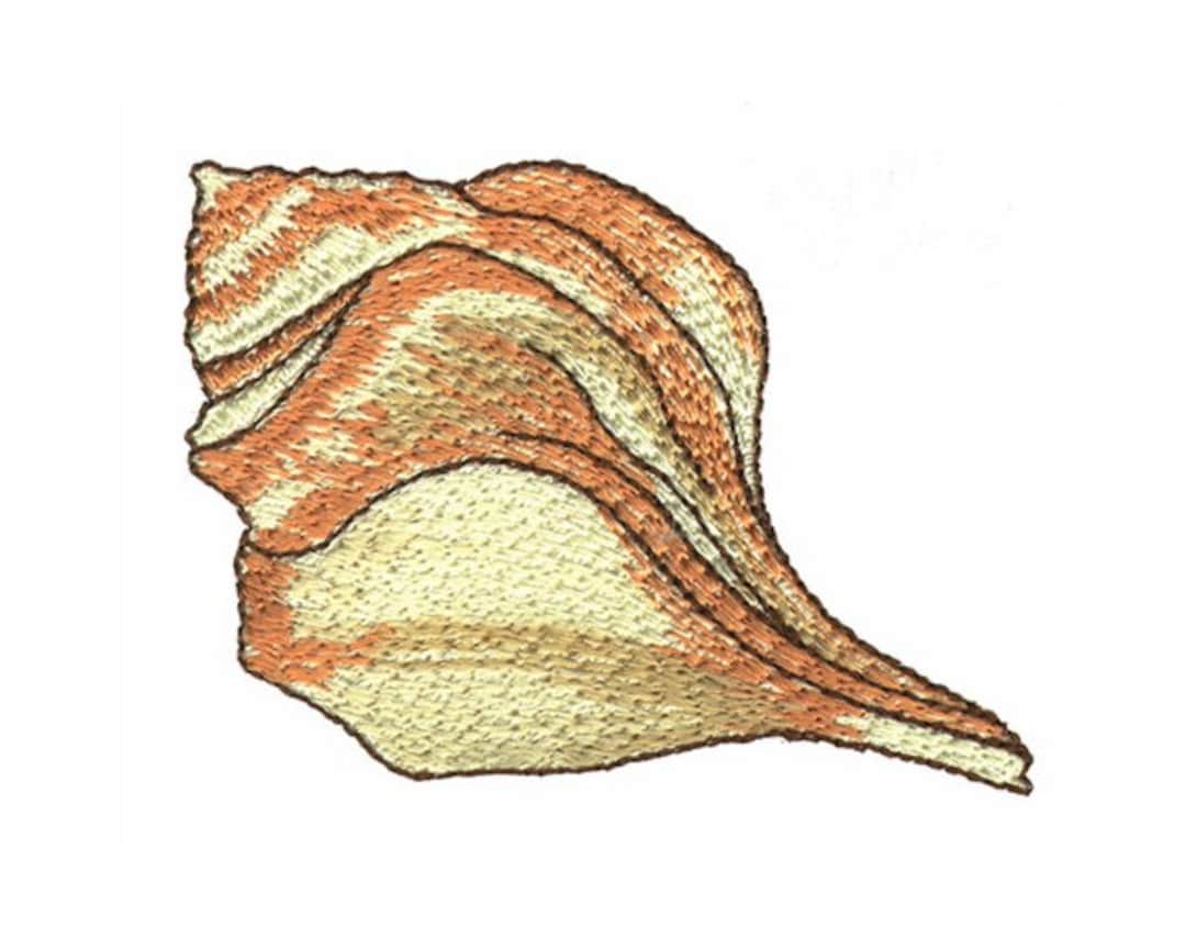 Seashell Machine Embroidery Design - Etsy