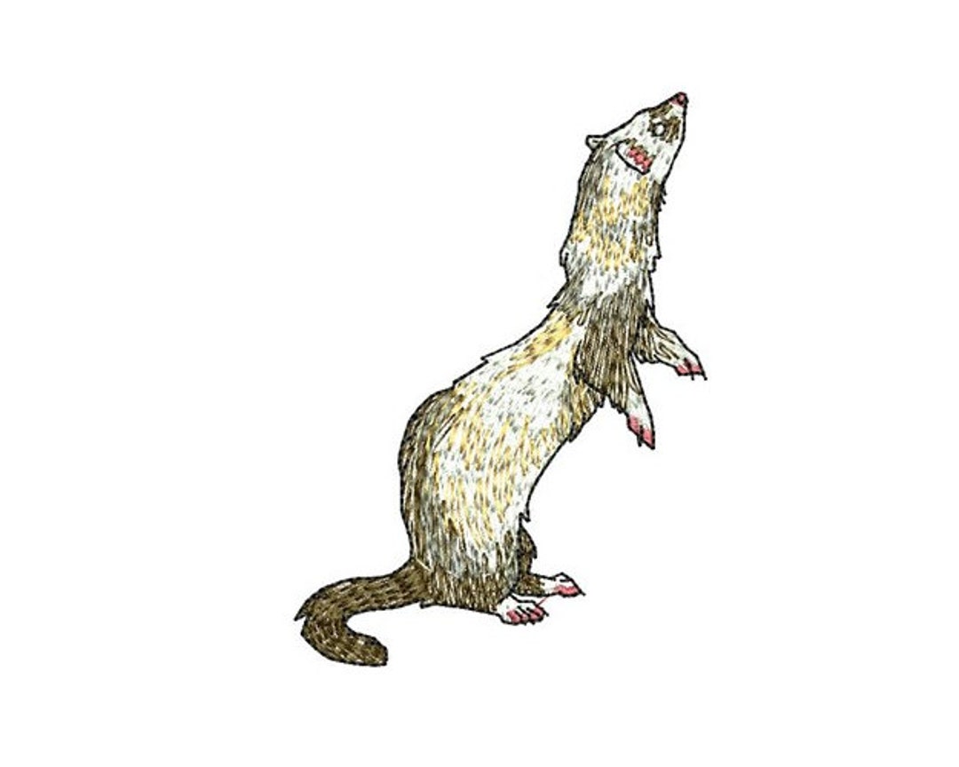 Ferret - Machine Embroidery Design - Etsy