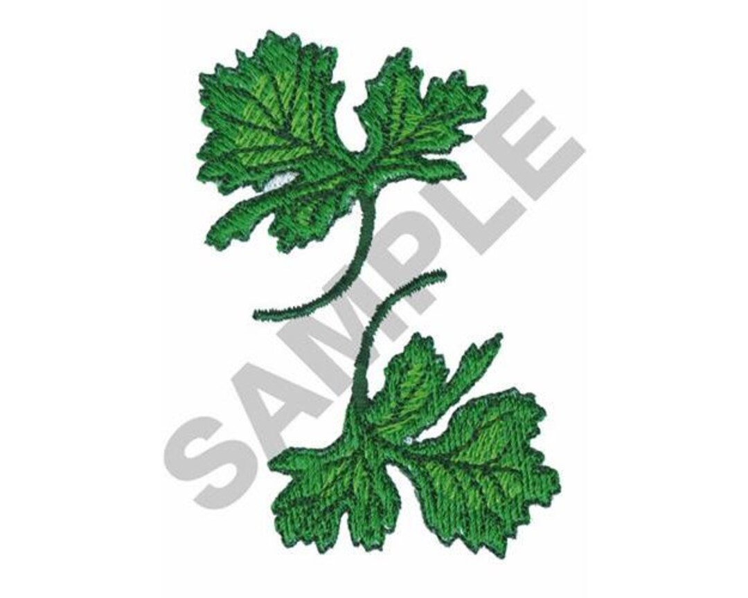 Herb Machine Embroidery Design - Etsy