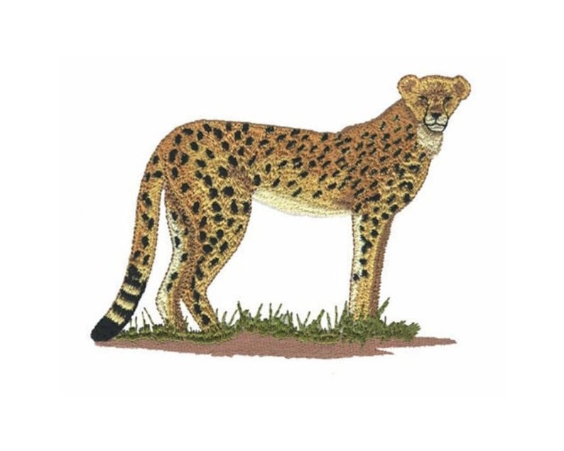 Cheetah Machine Embroidery Design - Etsy