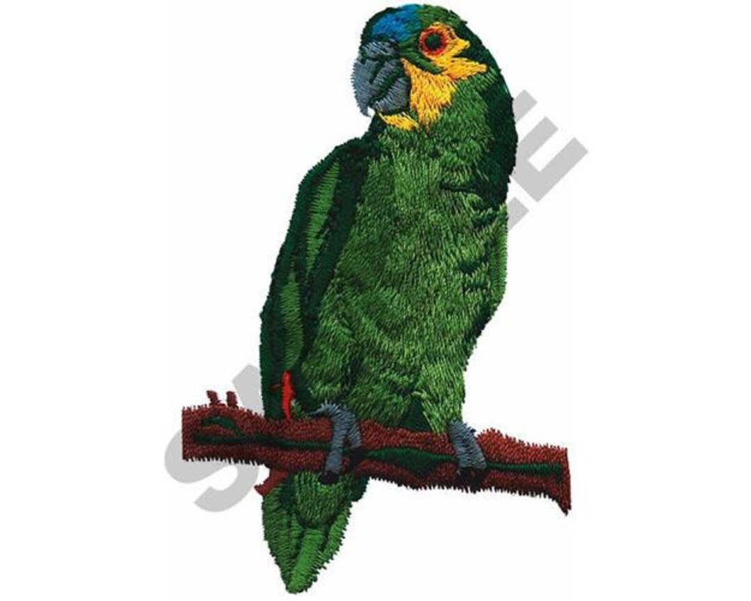 Parrot - Machine Embroidery Design - Etsy