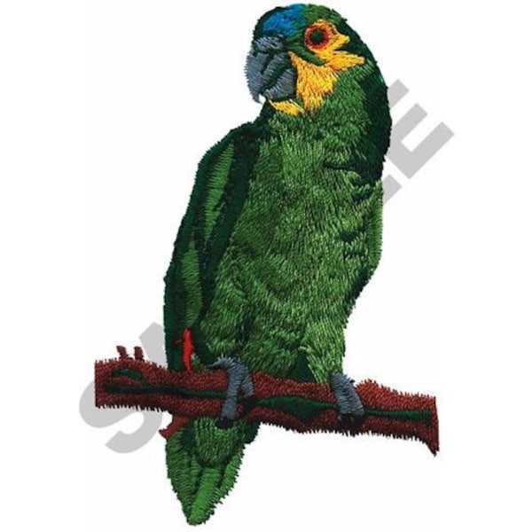 Parrot Embroidery - Etsy