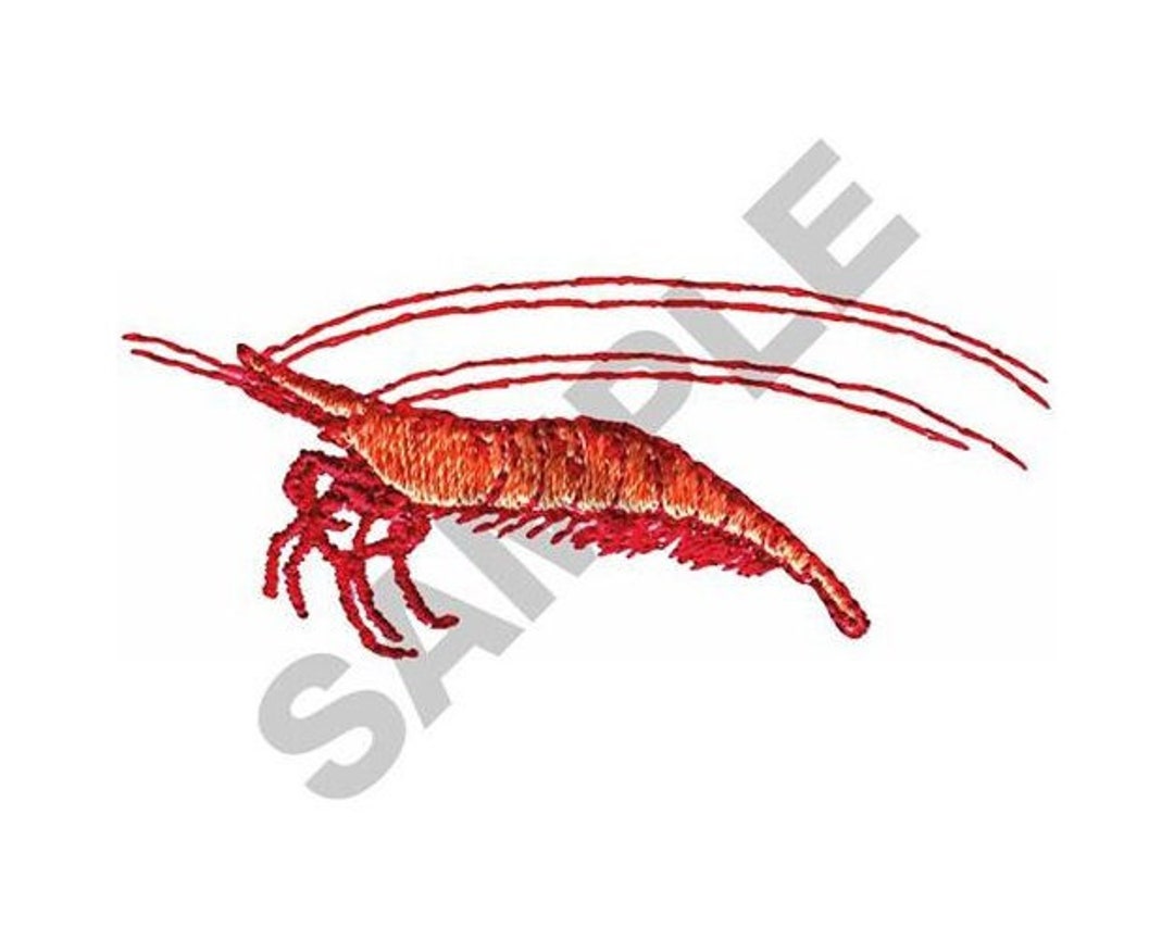 Shrimp - Machine Embroidery Design - Etsy