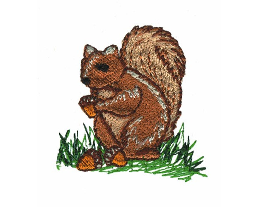 Squirrel - Machine Embroidery Design - Etsy