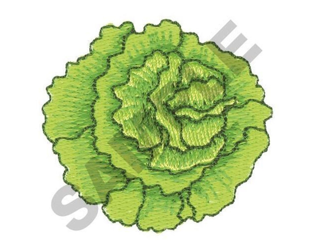 Lettuce - Machine Embroidery Design - Etsy