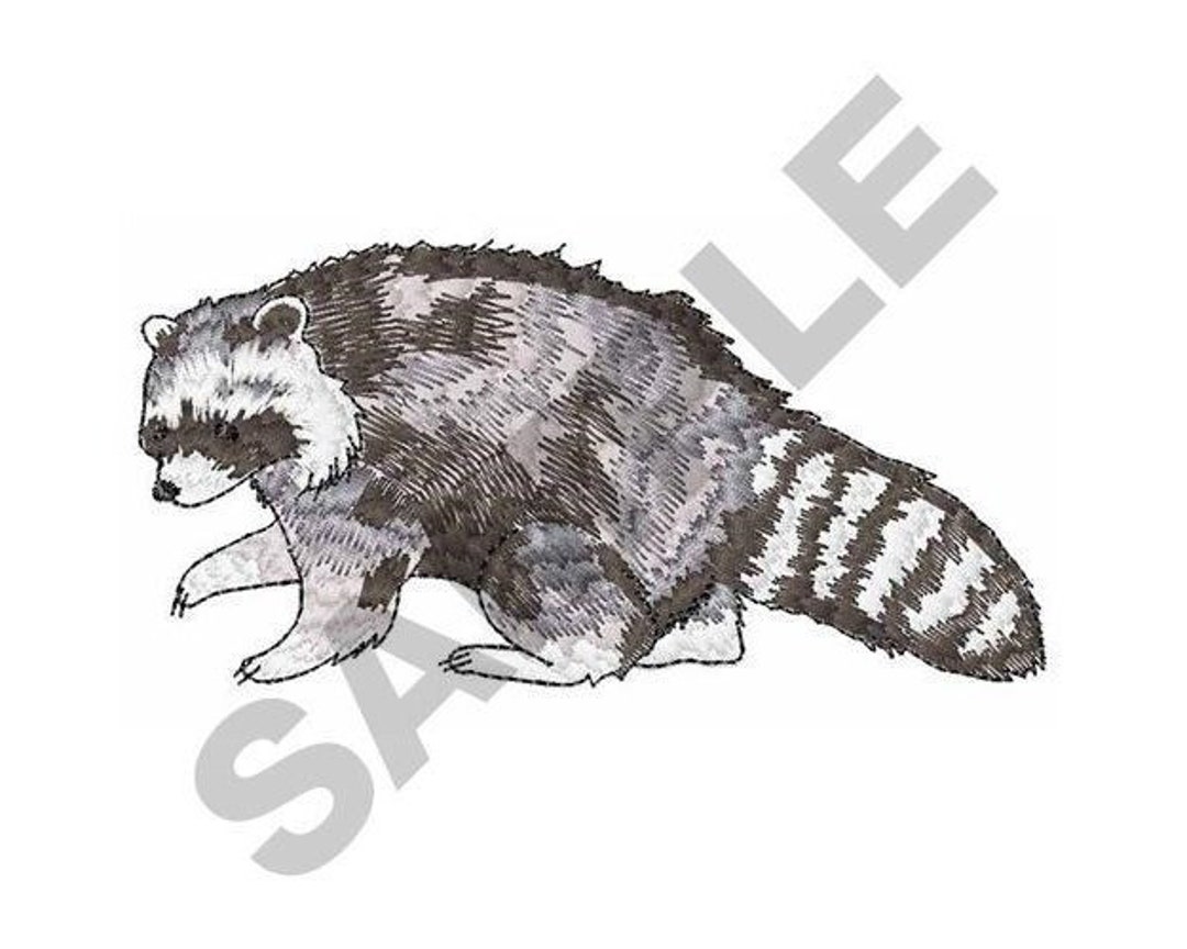 Raccoon - Machine Embroidery Design - Etsy