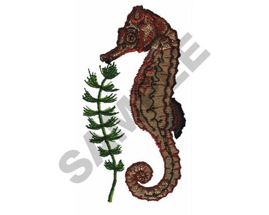 Seahorse Machine Embroidery Design - Etsy