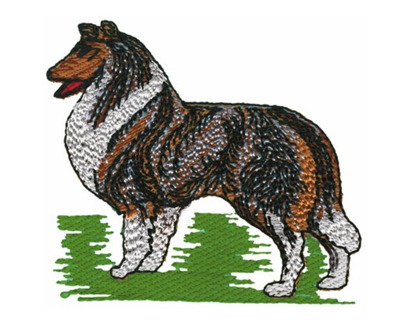 Collie - Machine Embroidery Design - Etsy