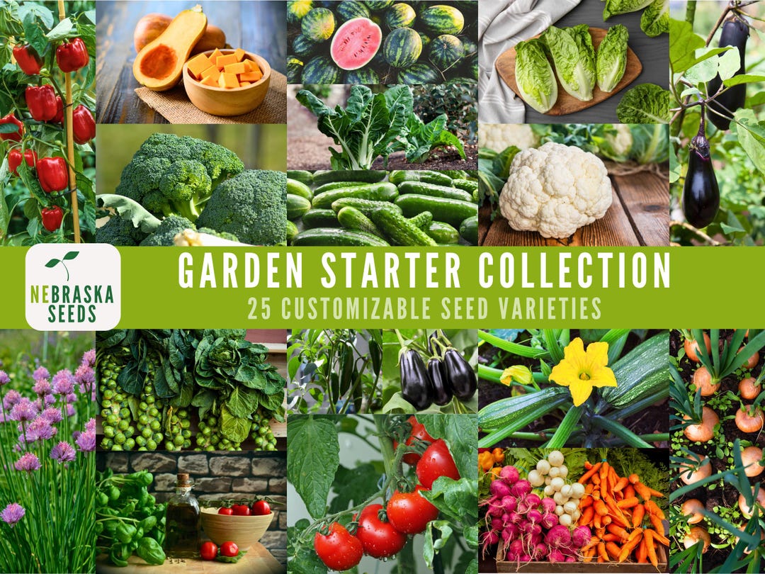 Customizable Garden Starter Seed Kit - Collection of Vegetable, Fruit ...
