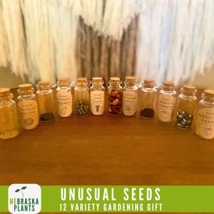 Unusual Seeds Gardening Gift Collection - Rare and Unusual Heirloom ...