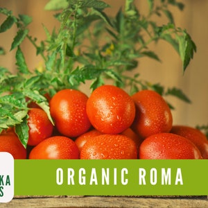 Organic Roma Tomato Seeds - Heirloom Tomato Seeds - Etsy