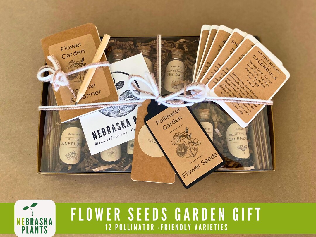 Pollinator Garden Flower Seed Collection - Unique Flower Seed Kit for ...