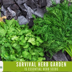 Essential Herb Garden - 15 Herbal and Medicinal Varieties - Seed Vault ...