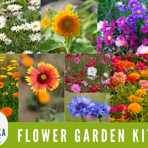 Personalized Flower Seed Gift Collection - 8 Varieties of Heirloom ...