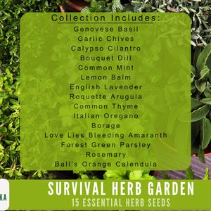 Essential Herb Garden - 15 Herbal and Medicinal Varieties - Seed Vault ...
